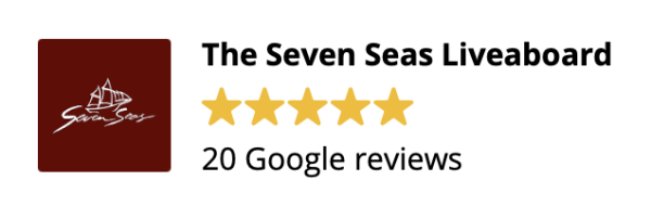 Experience Unforgettable Liveaboard in Indonesia